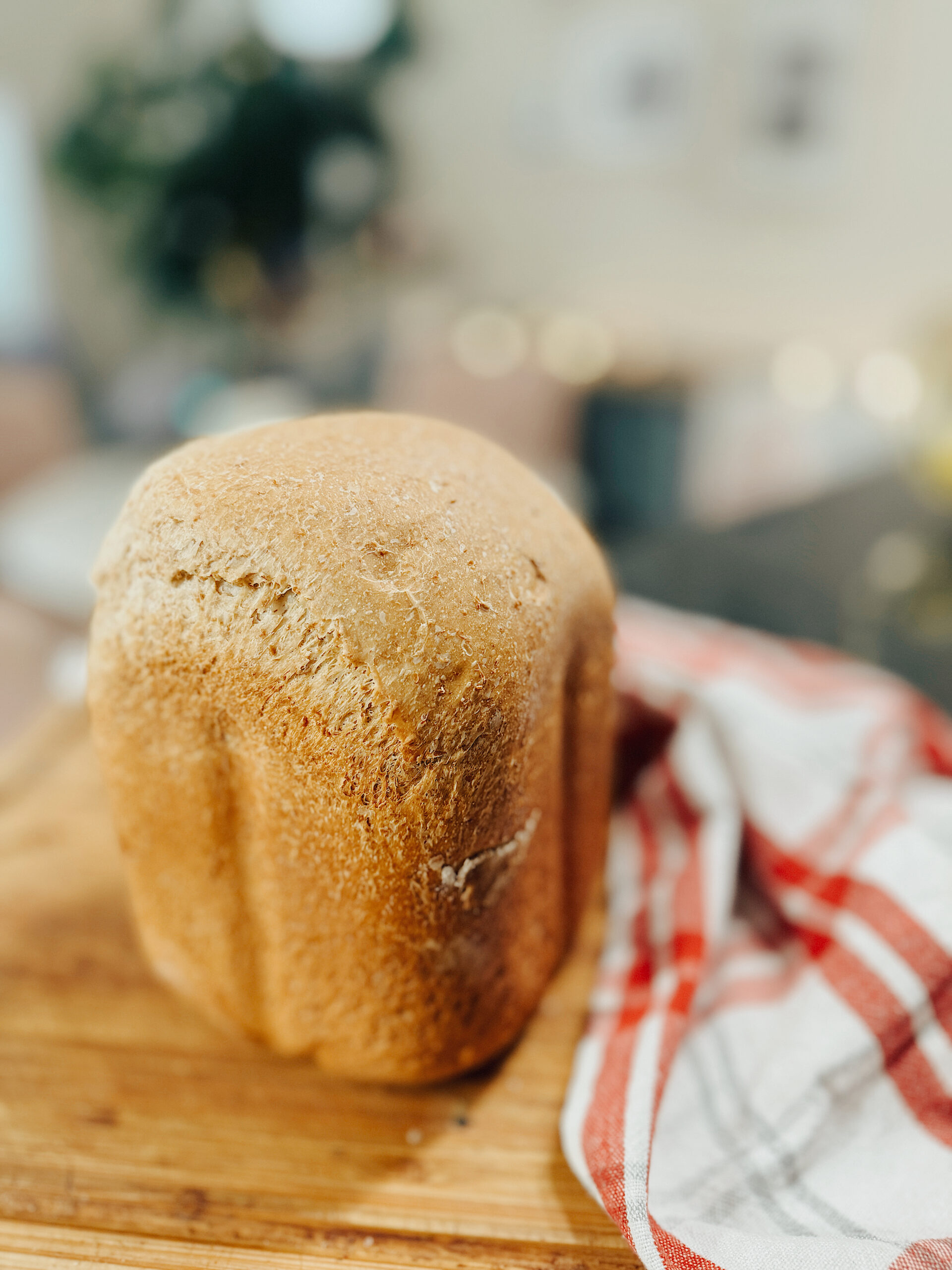 Wholesome Warmth: Baking a Whole Wheat Bread at Home – Luciana Wellness